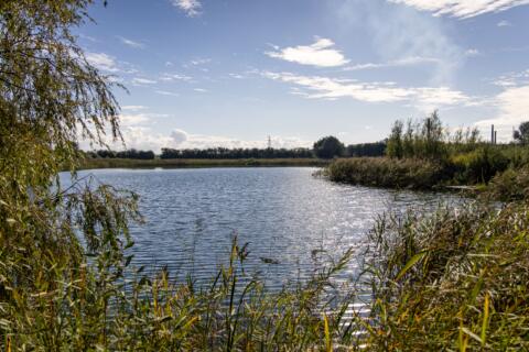 North Bank - Embryo Angling