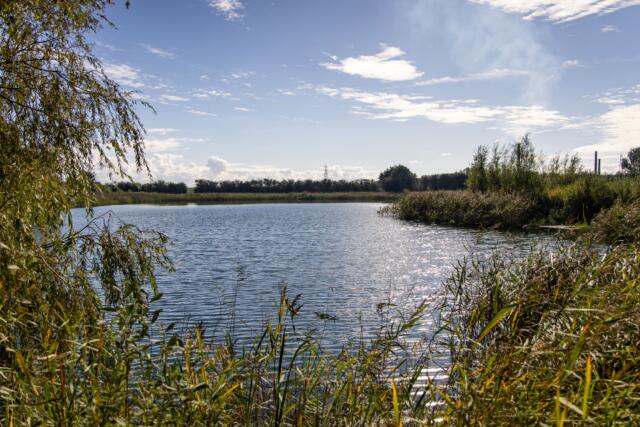 North Bank - Embryo Angling