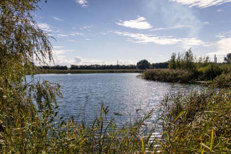North Bank - Embryo Angling