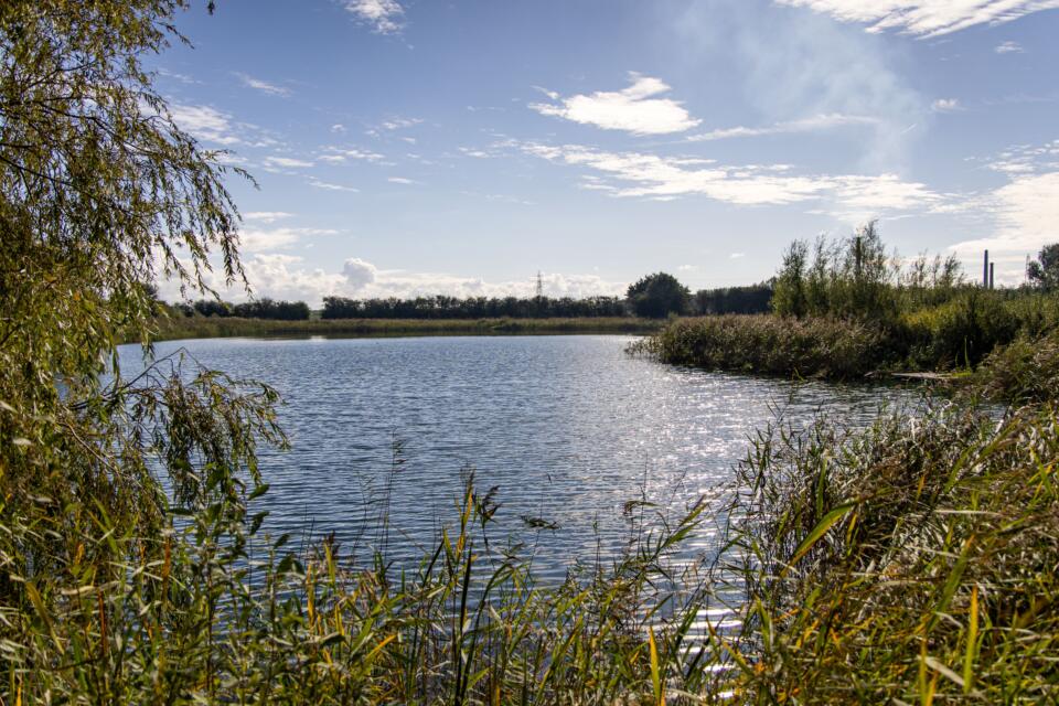North Bank - Embryo Angling