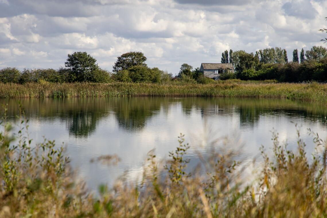 North Bank - Embryo Angling