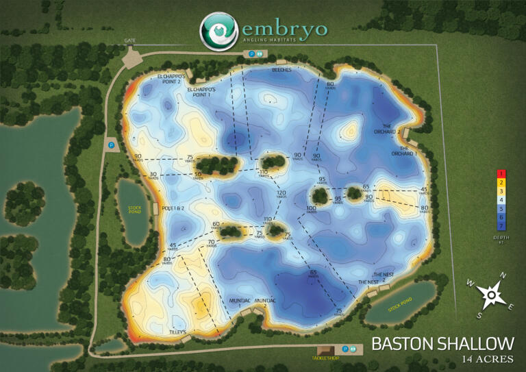 Baston Shallow Pit - Embryo Angling