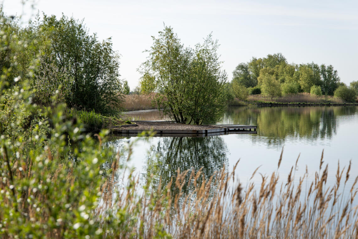 Baston Shallow Pit - Embryo Angling