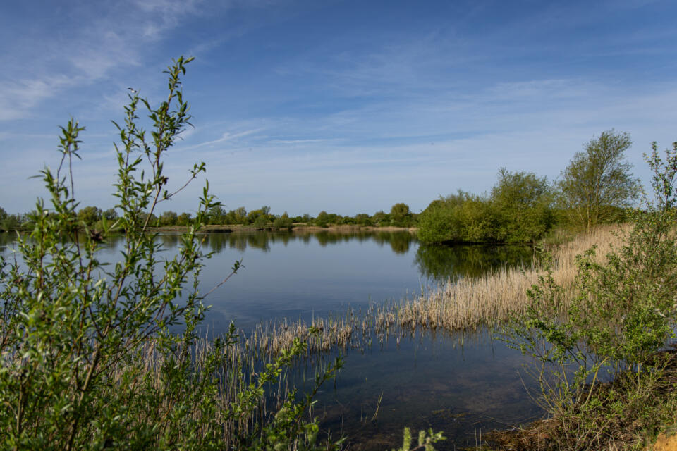 Baston Shallow Pit - Embryo Angling