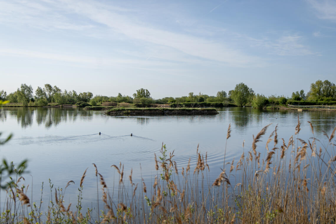 Baston Shallow Pit - Embryo Angling