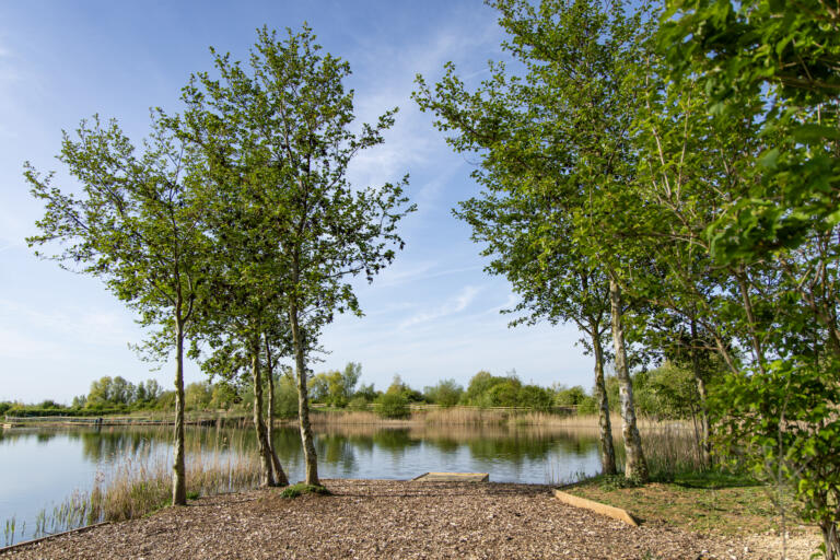 Baston Shallow Pit - Embryo Angling