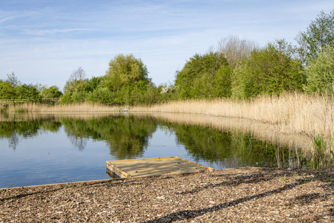 Baston Shallow Pit - Embryo Angling