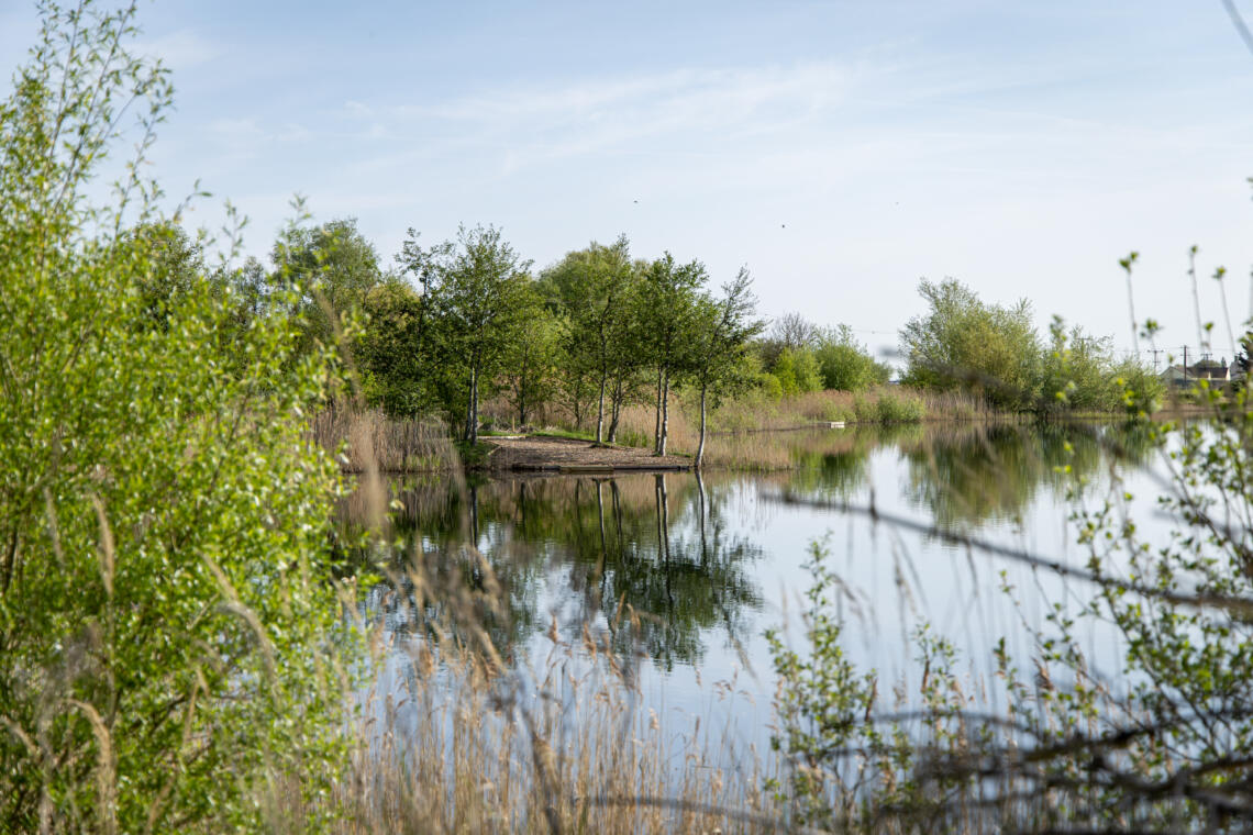 Baston Shallow Pit - Embryo Angling