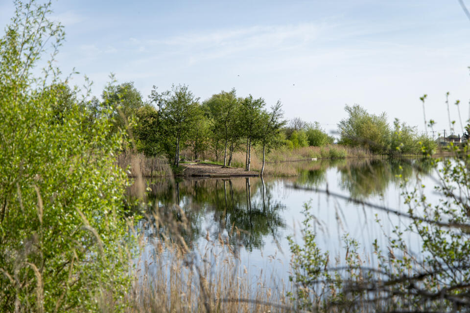 Baston Shallow Pit - Embryo Angling