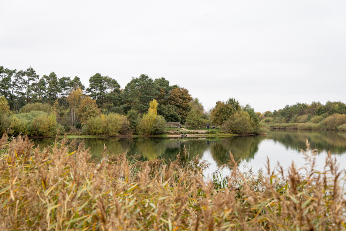 Stock's Lake - Embryo Angling